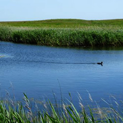Home - Lydd Golf Club